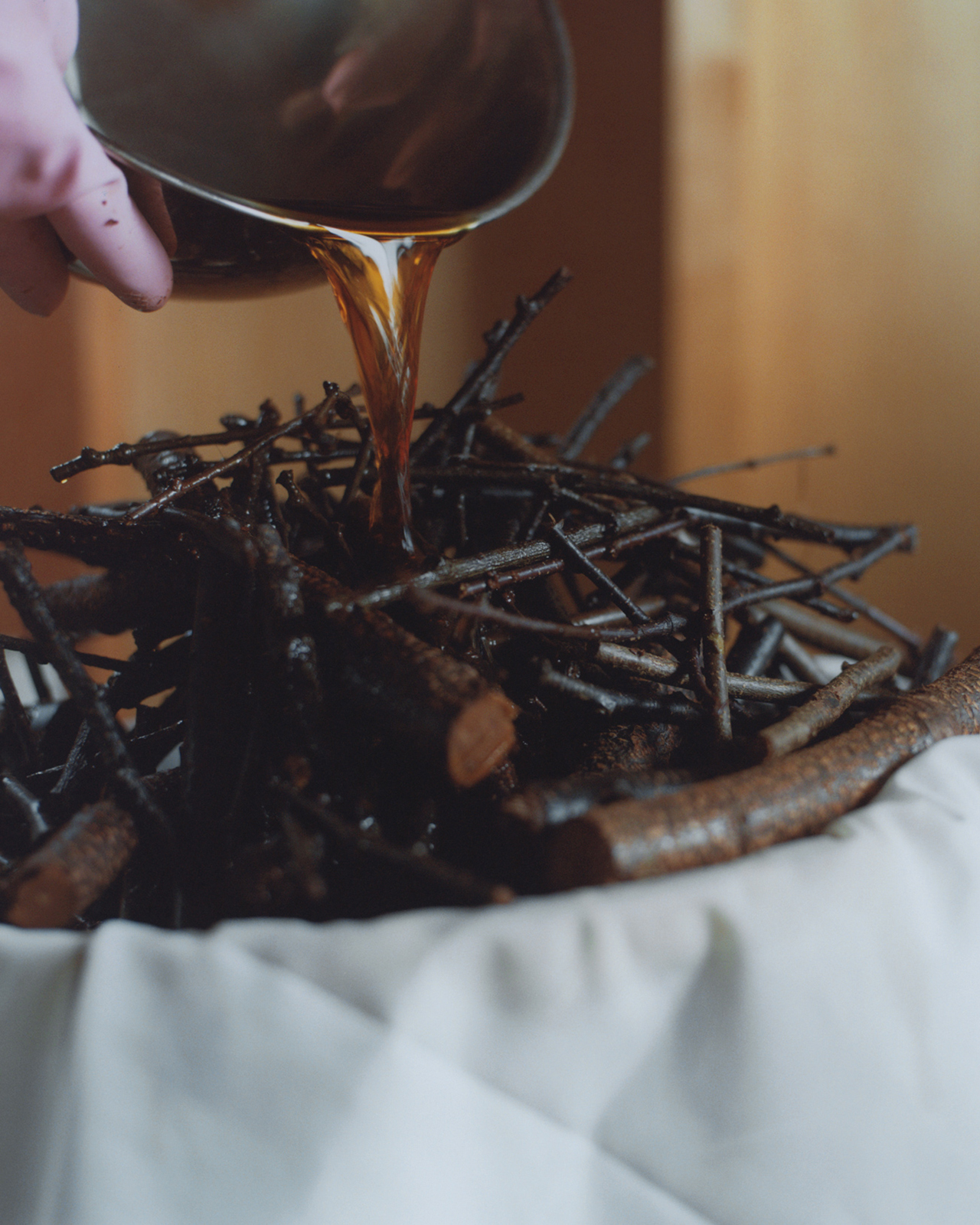 本多康司写真事務所 » ALL » DETAIL